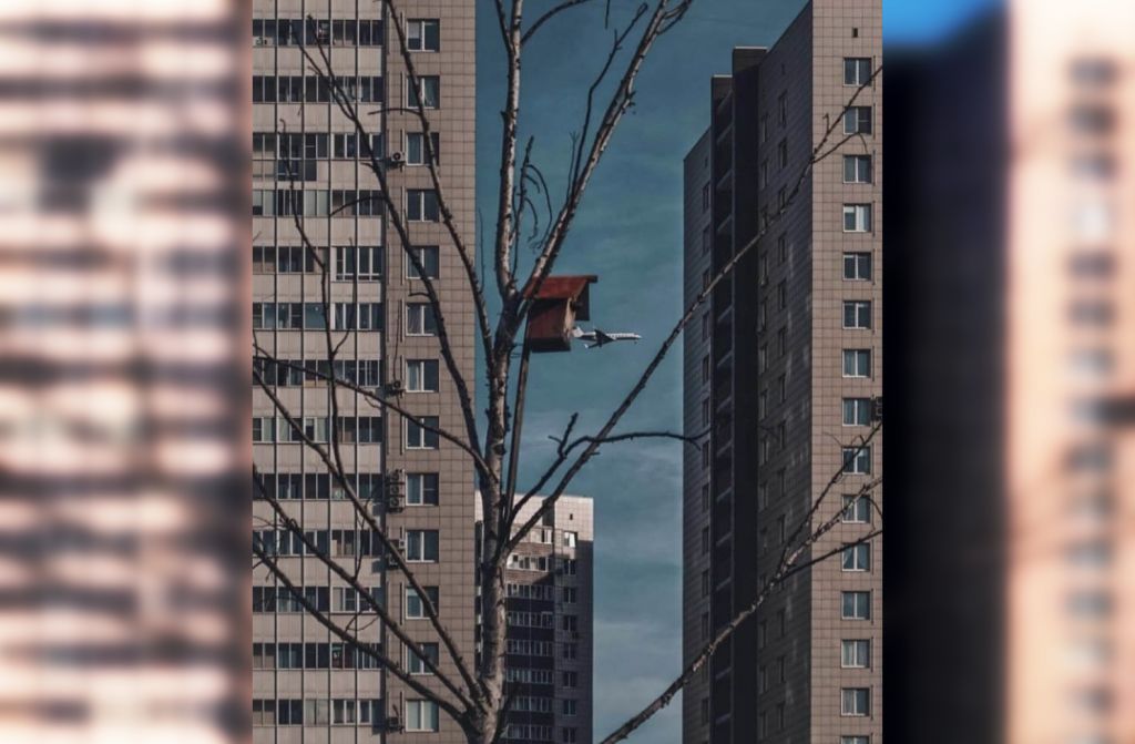 30 Unforgettable Moments Captured in the Photo