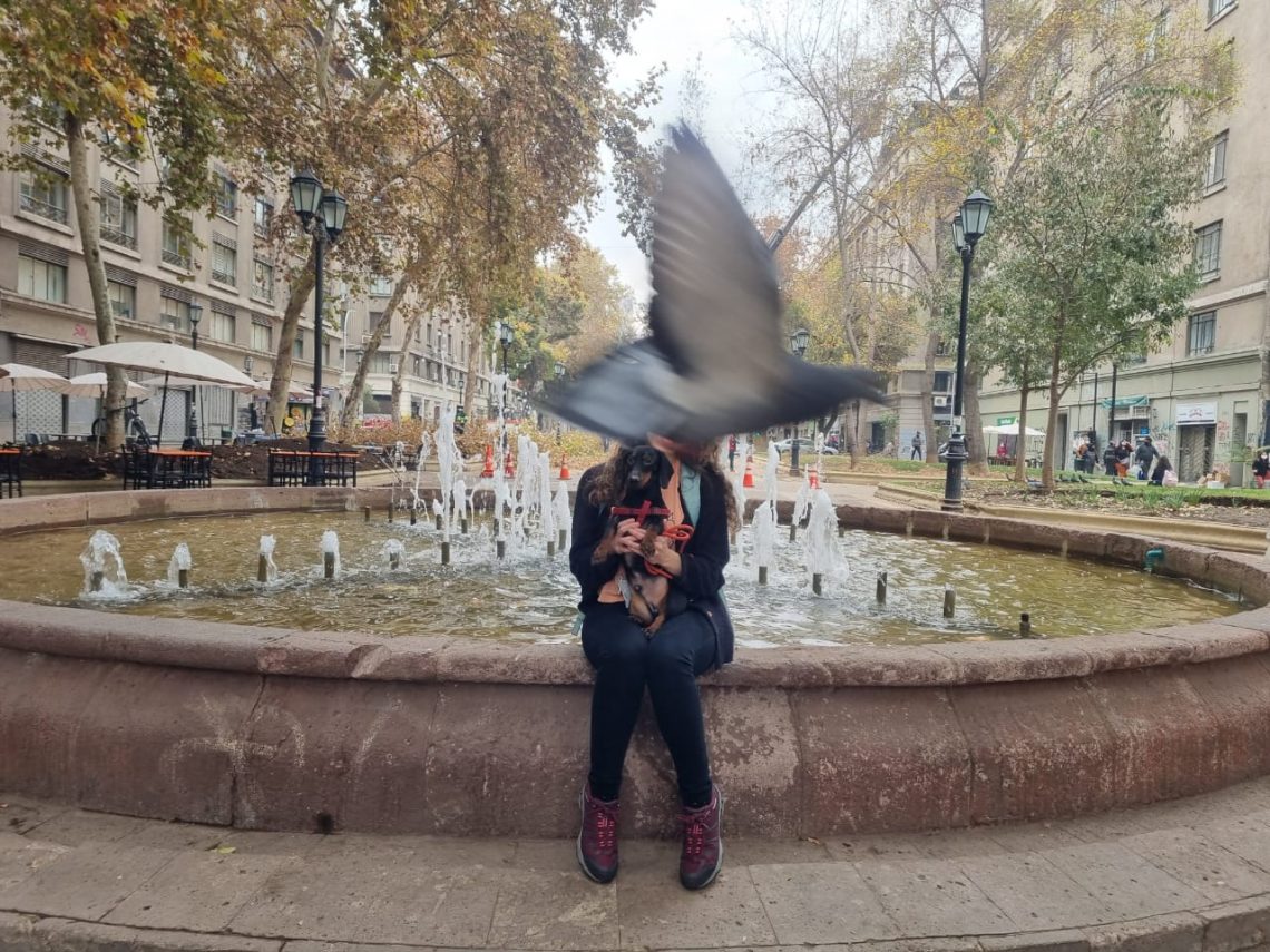 30 Unforgettable Moments Captured in the Photo