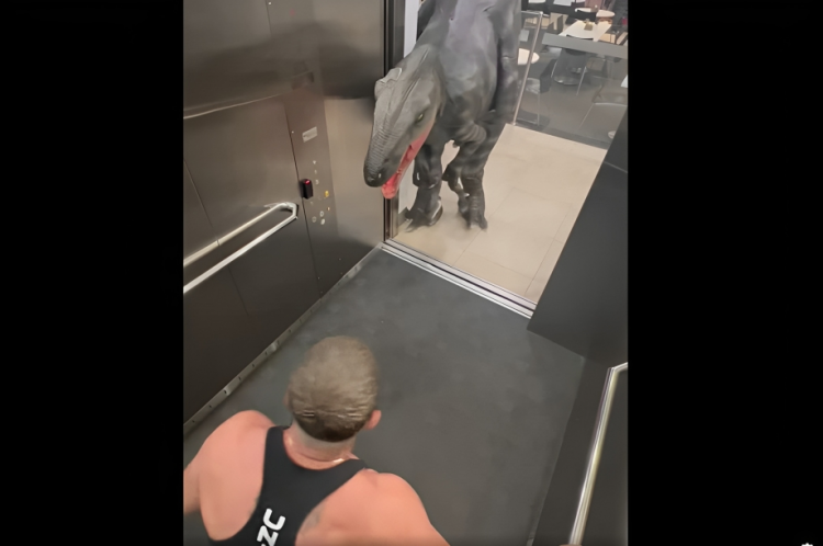 Going Up, Going Down: The Comedy of Everyday Elevator Rides